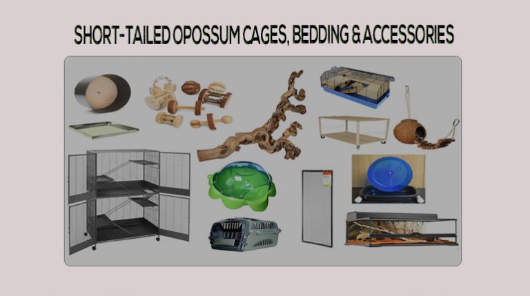 Recommended Short-Tailed Opossum Cages Bedding & ACCs - Small Furry Pets