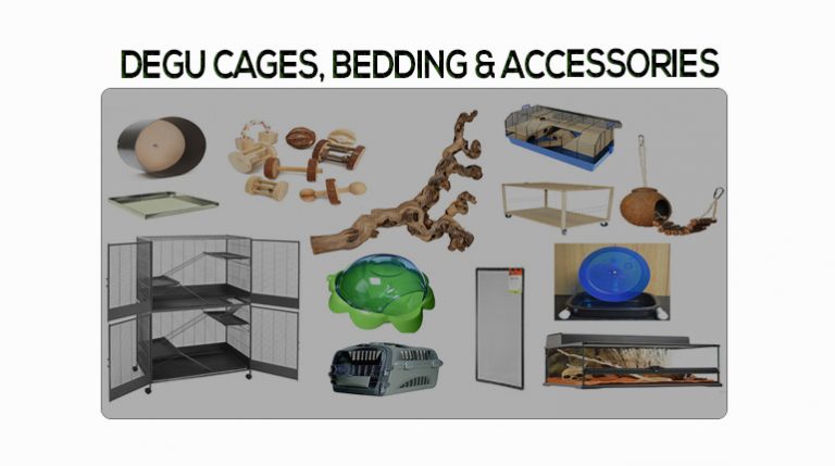 Recommended Degu Cages Bedding & Accessories - Small Furry Pets