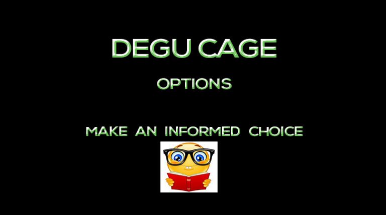 Helping You Choose The Right Degu Cage - Small Furry Pets